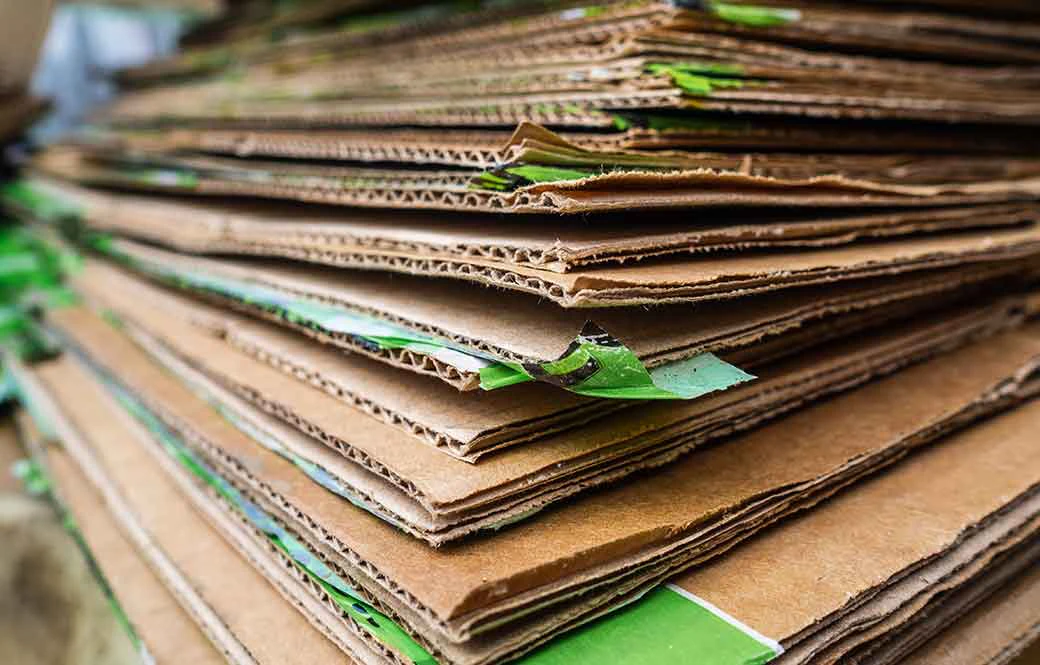 Paper & Cardboard | Central Skips
